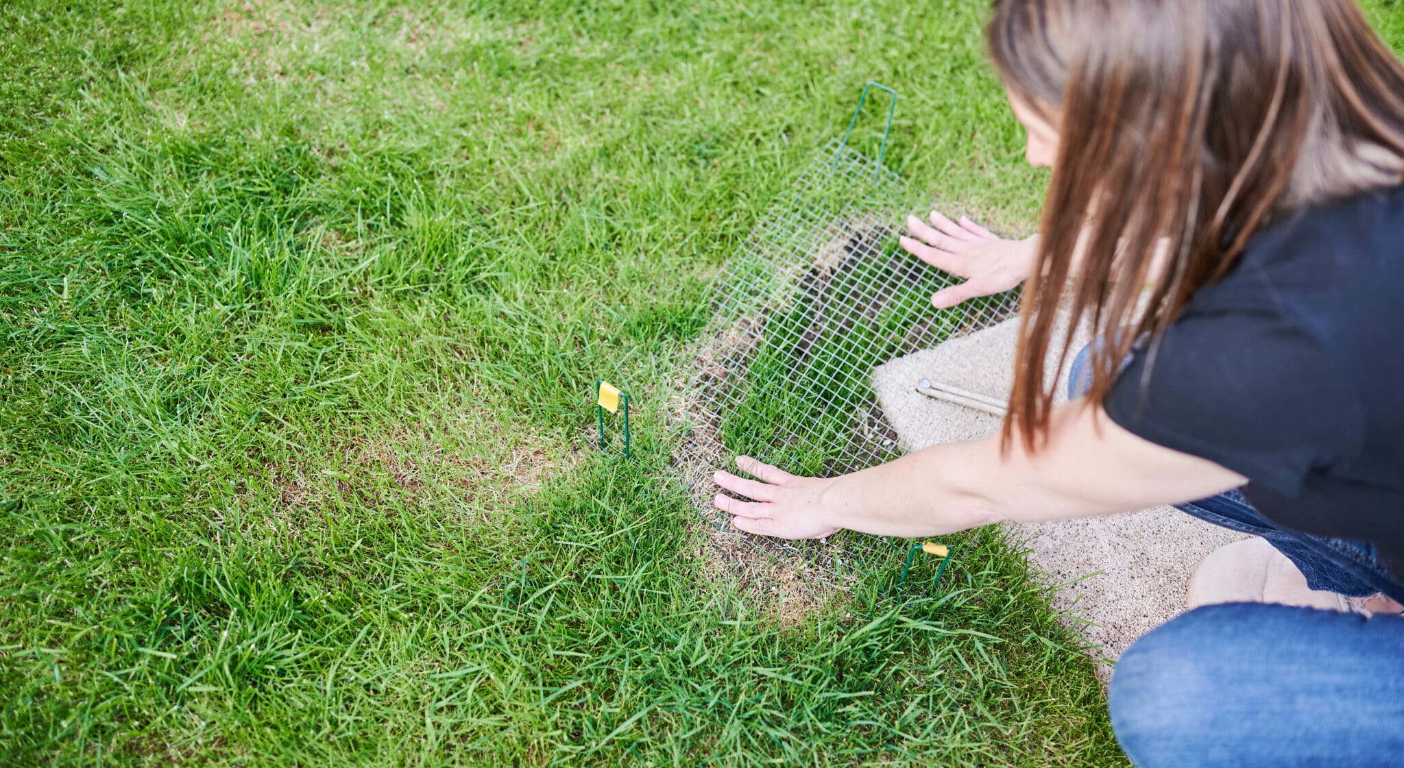 Top 5 Metals for Outdoor Projects: Weather Resistance and Longevity ...